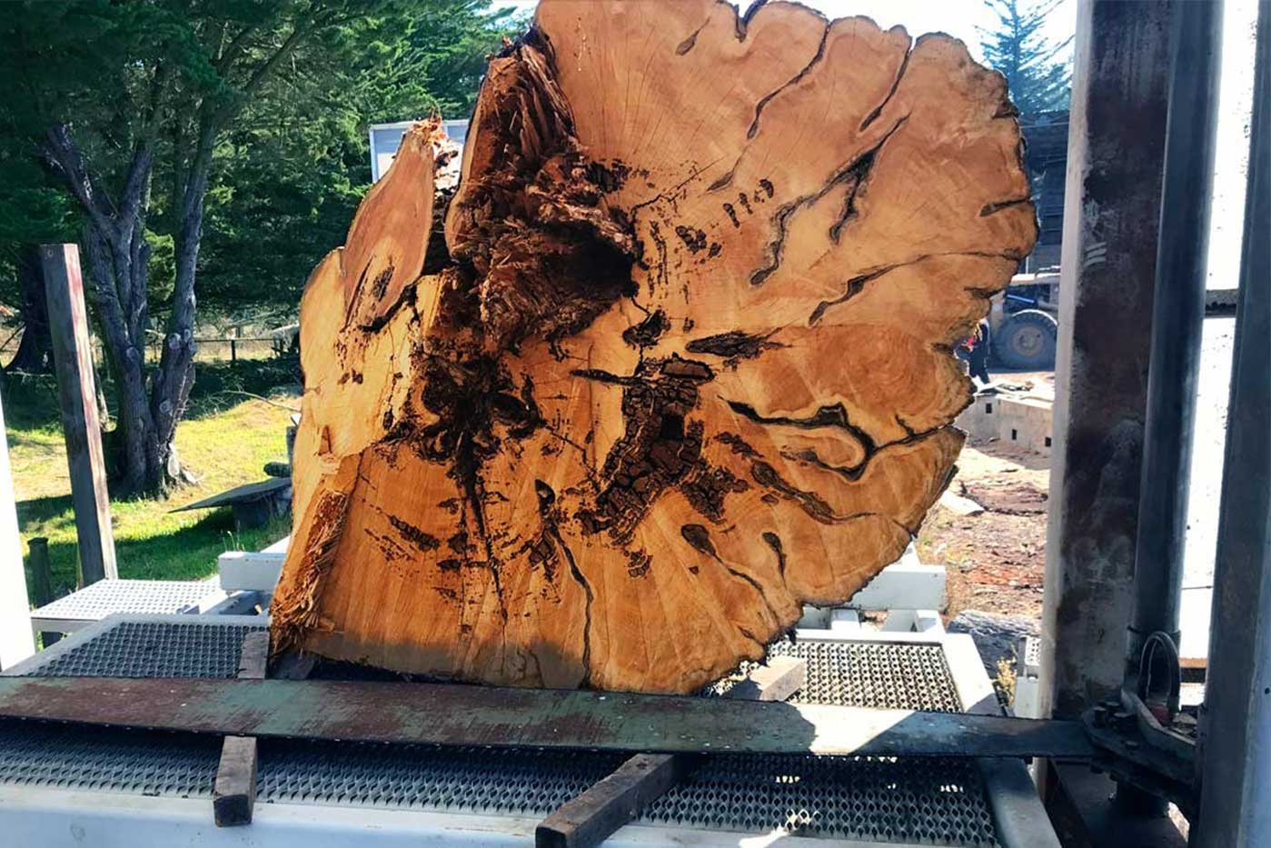 Wood Technology | Carpentry, Furniture Making, & Career Opportunities ...